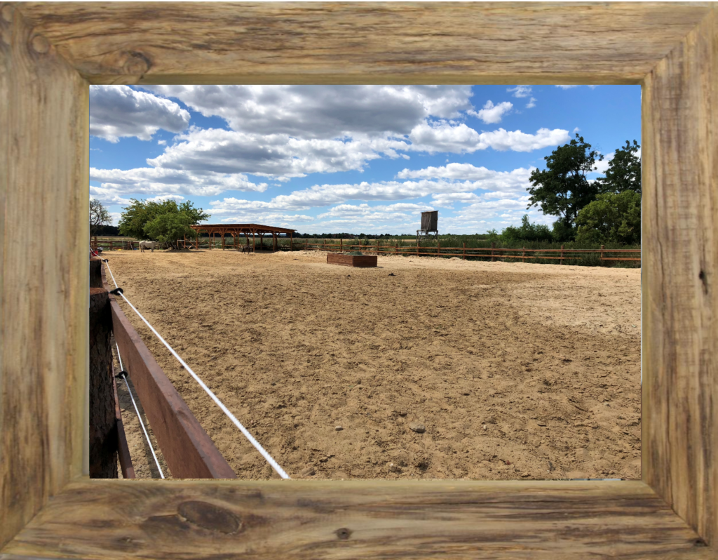 Unsere Ranch – Boondocks Ranch